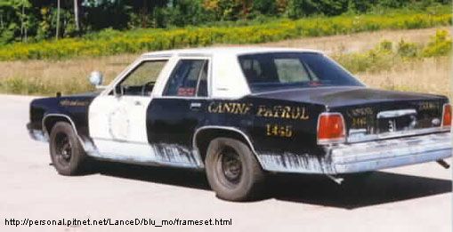 bluesmobile.info
